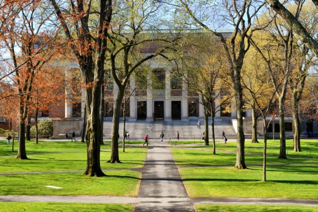 Harvard taps veteran Lane MacDonald to oversee PE | PE Hub