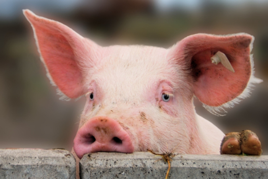 peHUB First Read | PE Hub