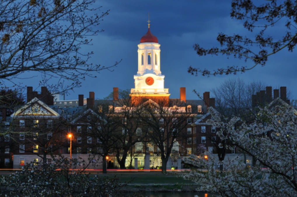 Peter Dolan to lead private equity, venture capital at Makena | PE Hub