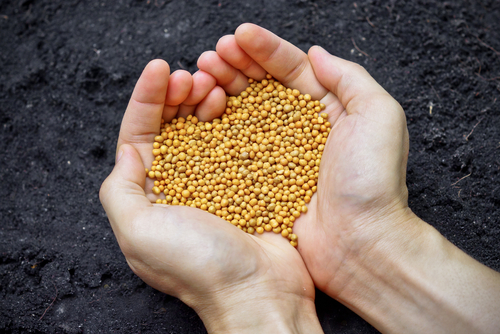 TPG ART leads $110 mln-plus round for fertilizer firm VitAg | PE Hub