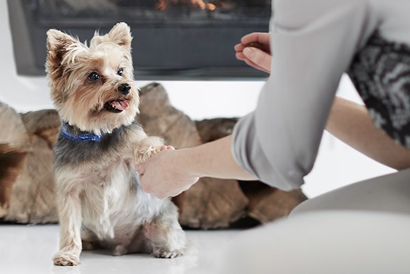 Fonds de solidarité FTQ invests $4 mln in PLB International | PE Hub