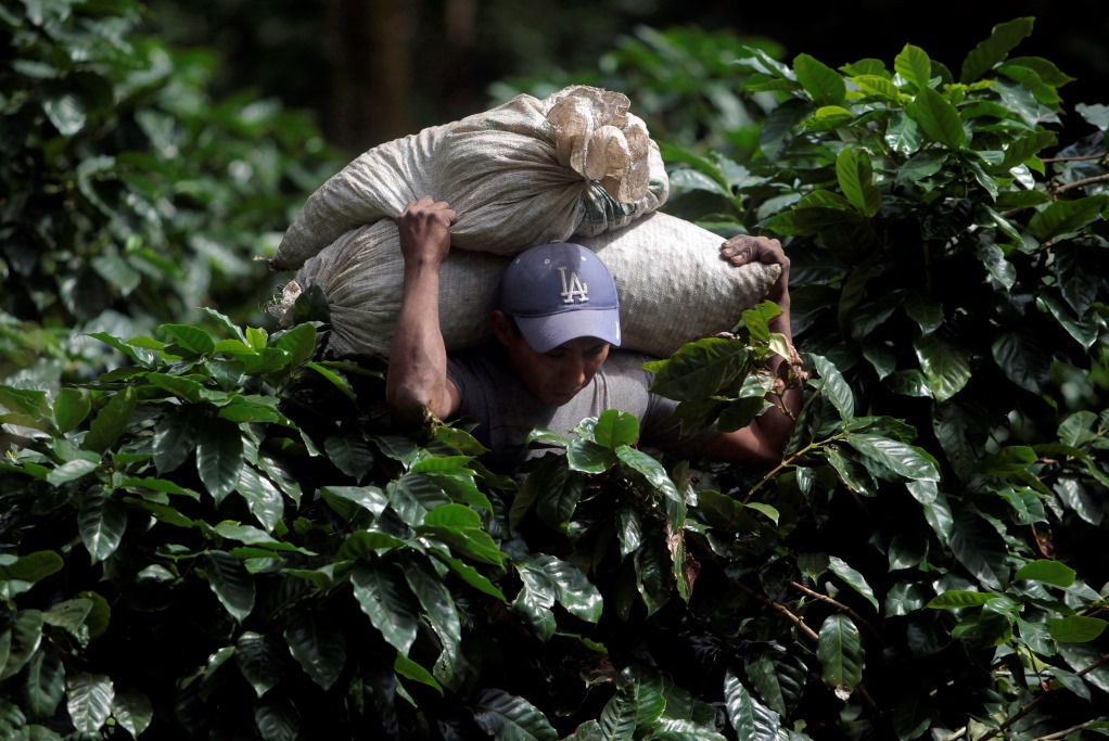 Amerra Capital pulls in $180 mln for two latest agriculture funds | PE Hub