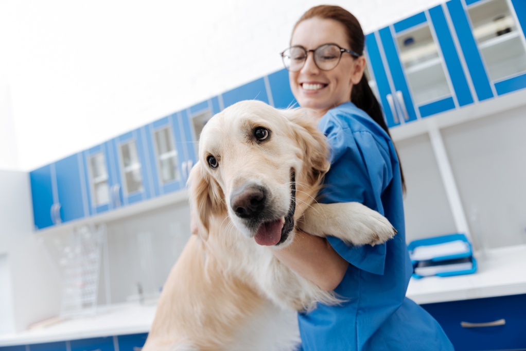 RF eying add-ons with first investments in pet and veterinary sector ...