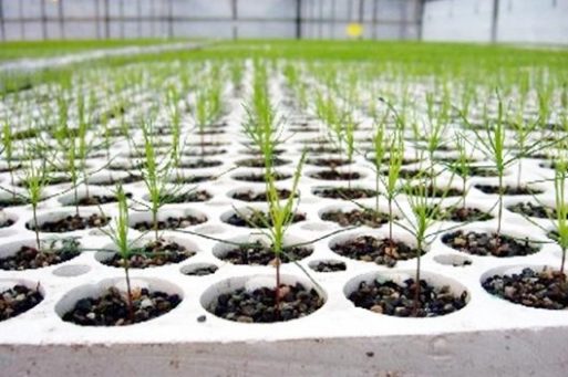 TriWest Capital Partners invests in PRT Growing Services | PE Hub