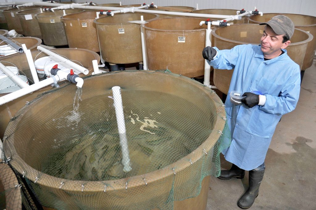 Cuna del Mar acquires Center for Aquaculture Technologies | PE Hub