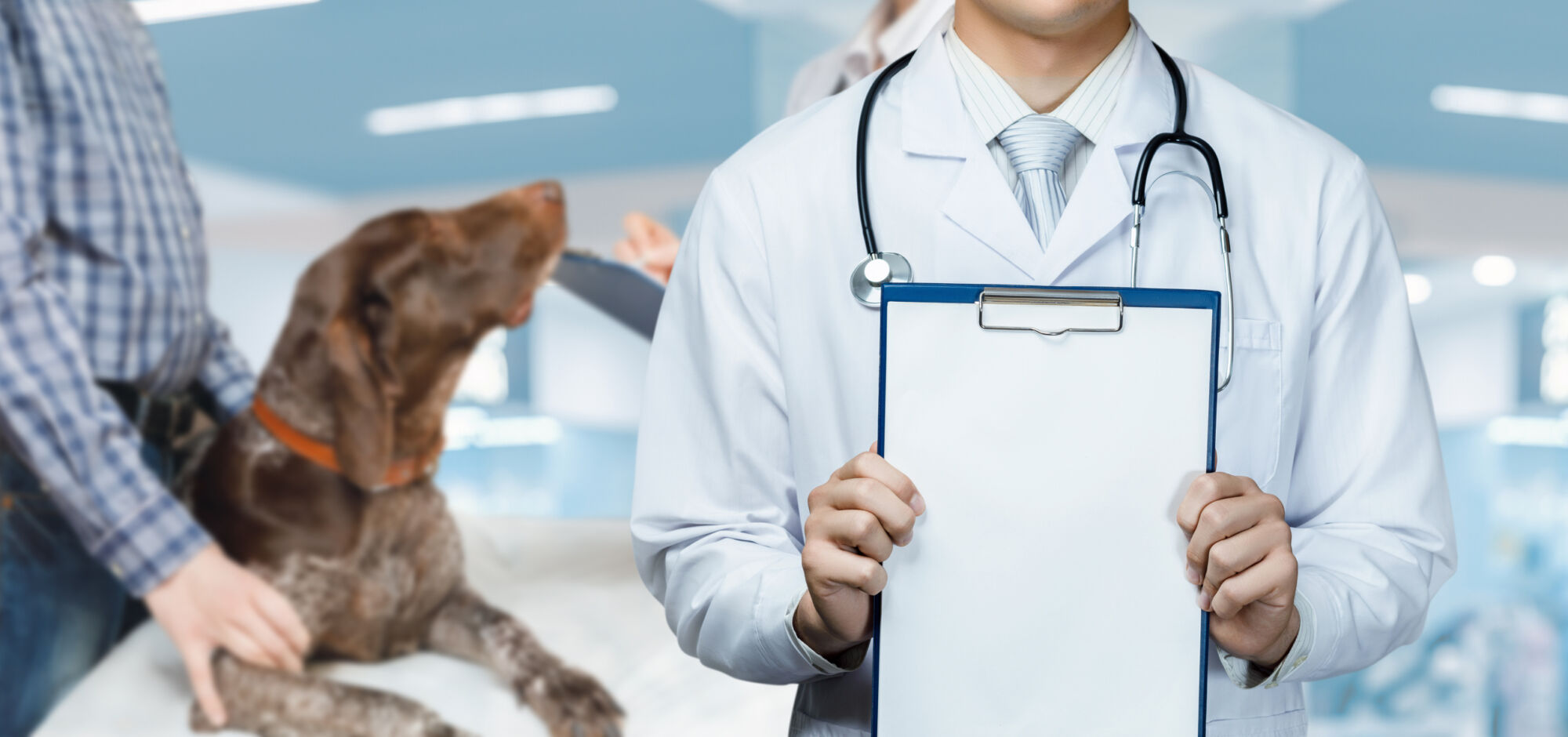 LLCP to invest in vet trainer; Astorg closes secondaries deal | PE Hub